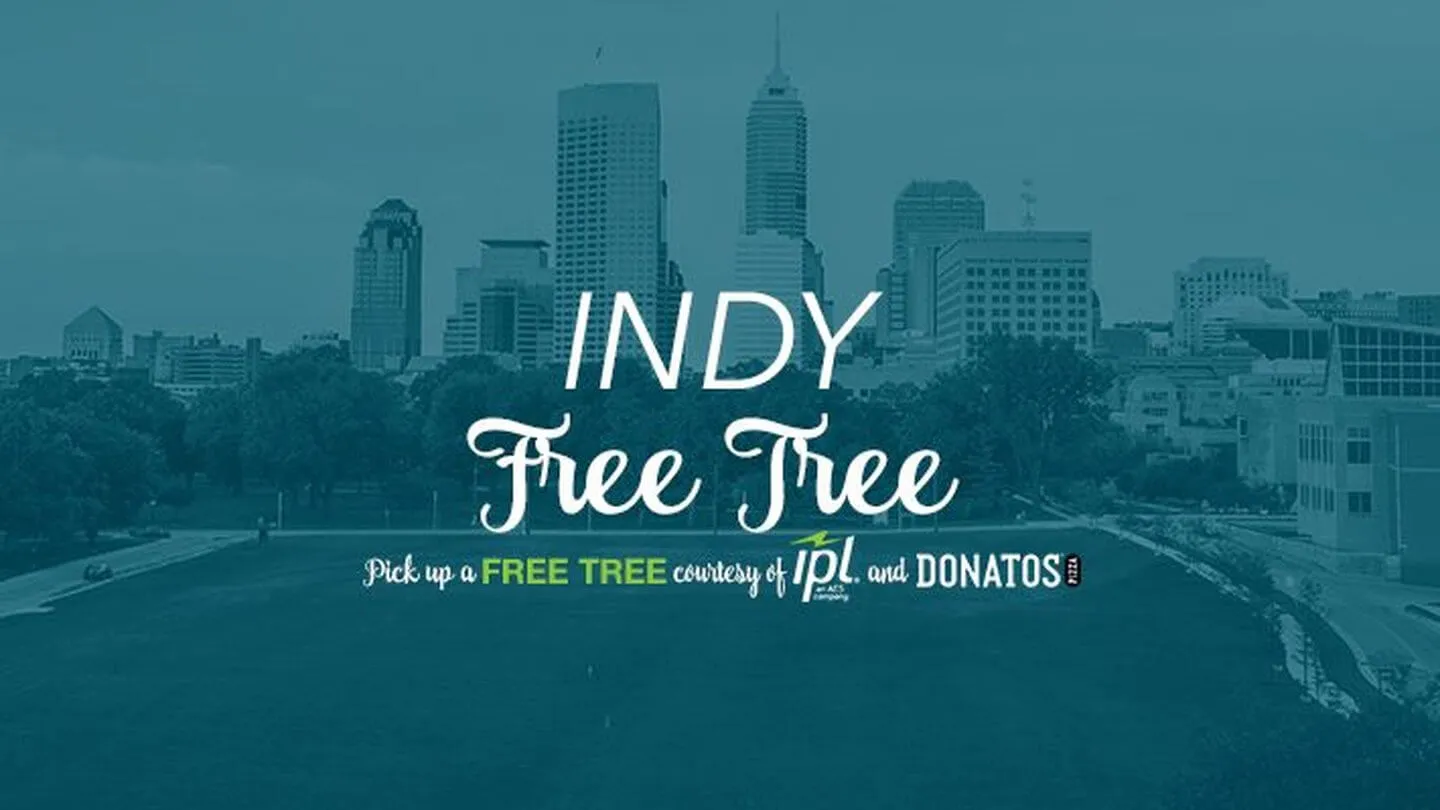 Trees for Indy and Indy Free Tree Day | AES Puerto Rico