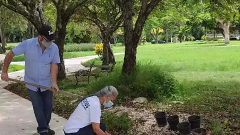 Environmental Programs | Green Living